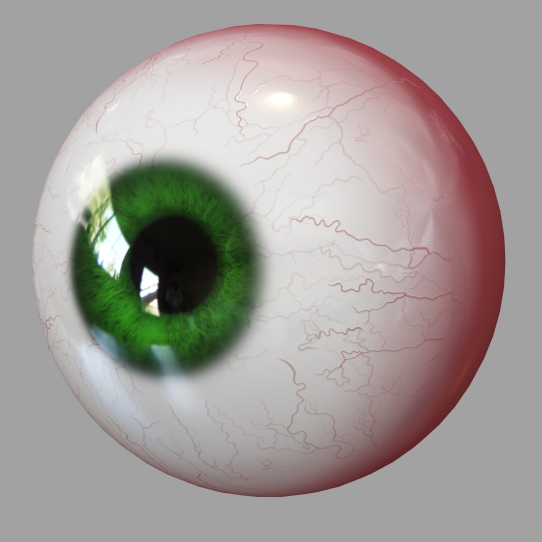 3d Model Eyes Human Realistic Eyeball