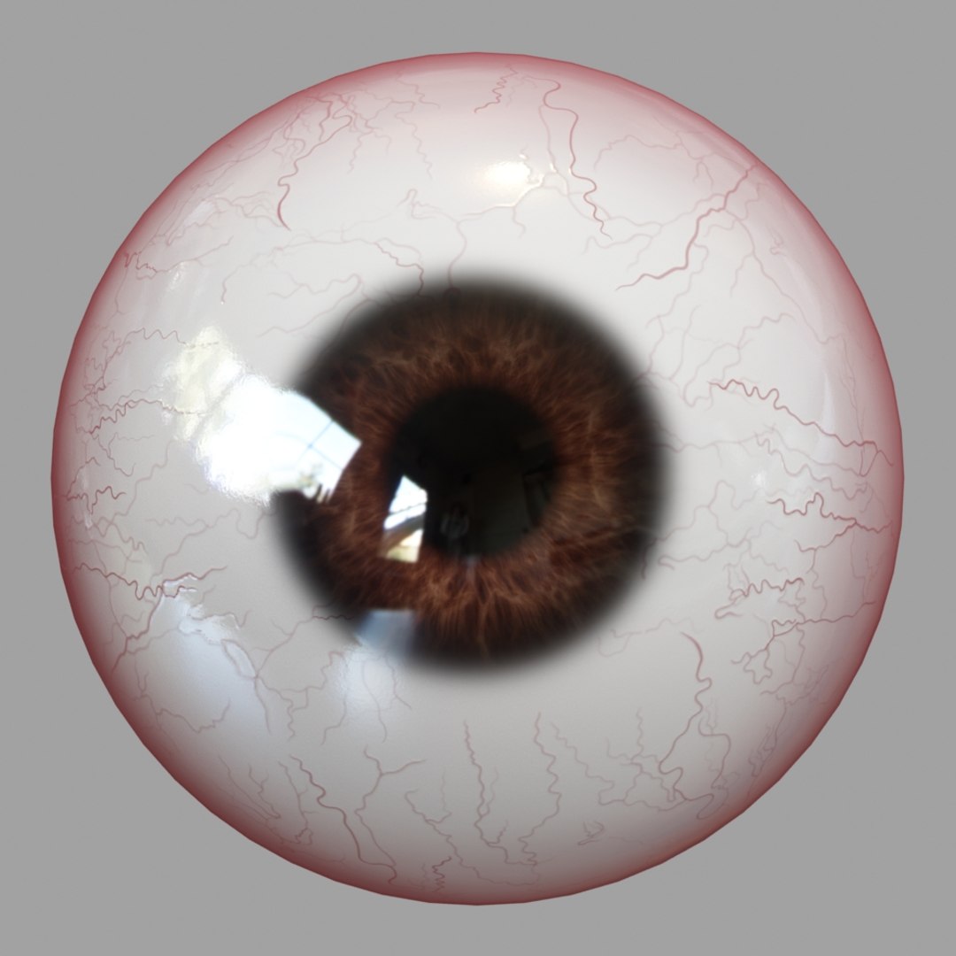 3d Model Eyes Human Realistic Eyeball