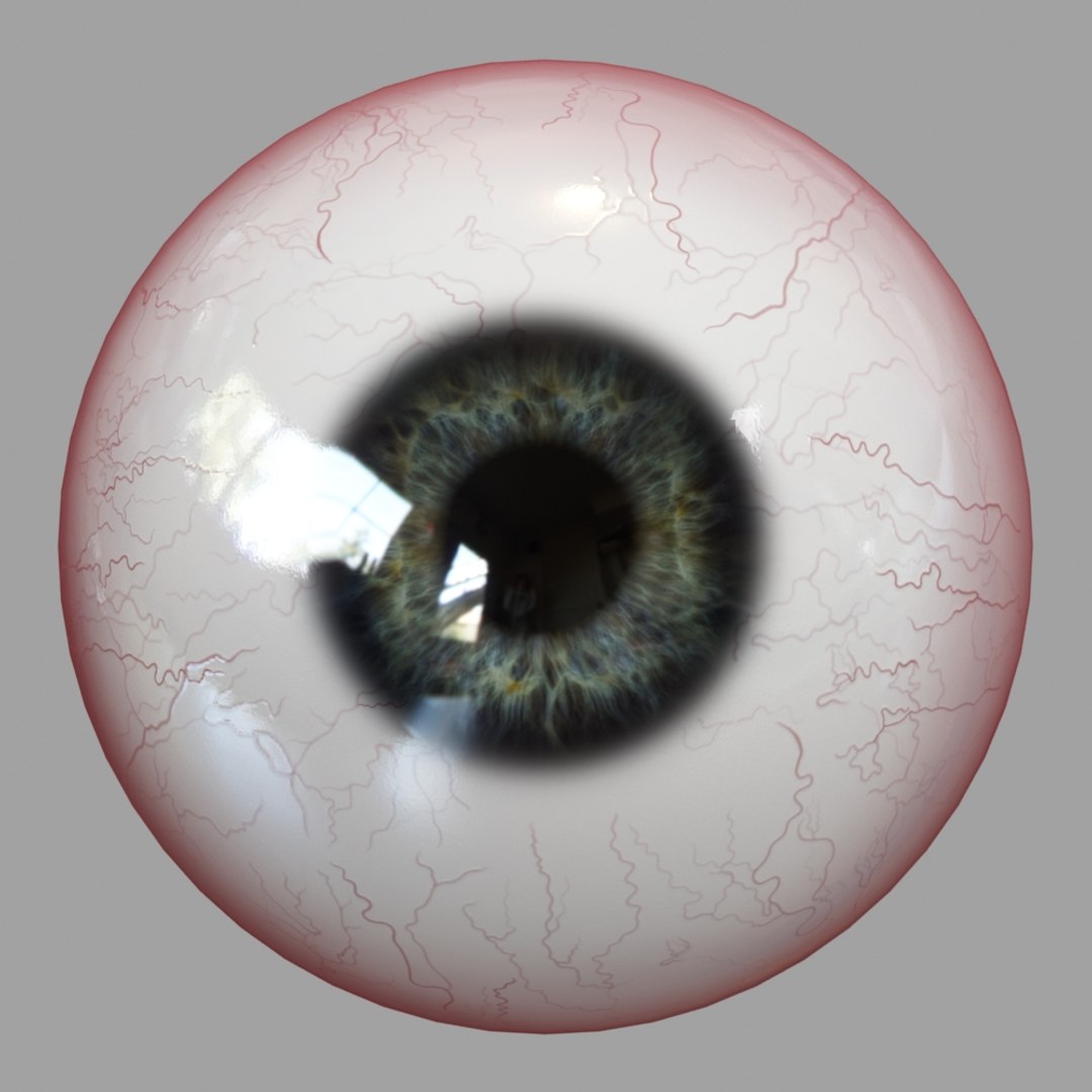 3d Model Eyes Human Realistic Eyeball