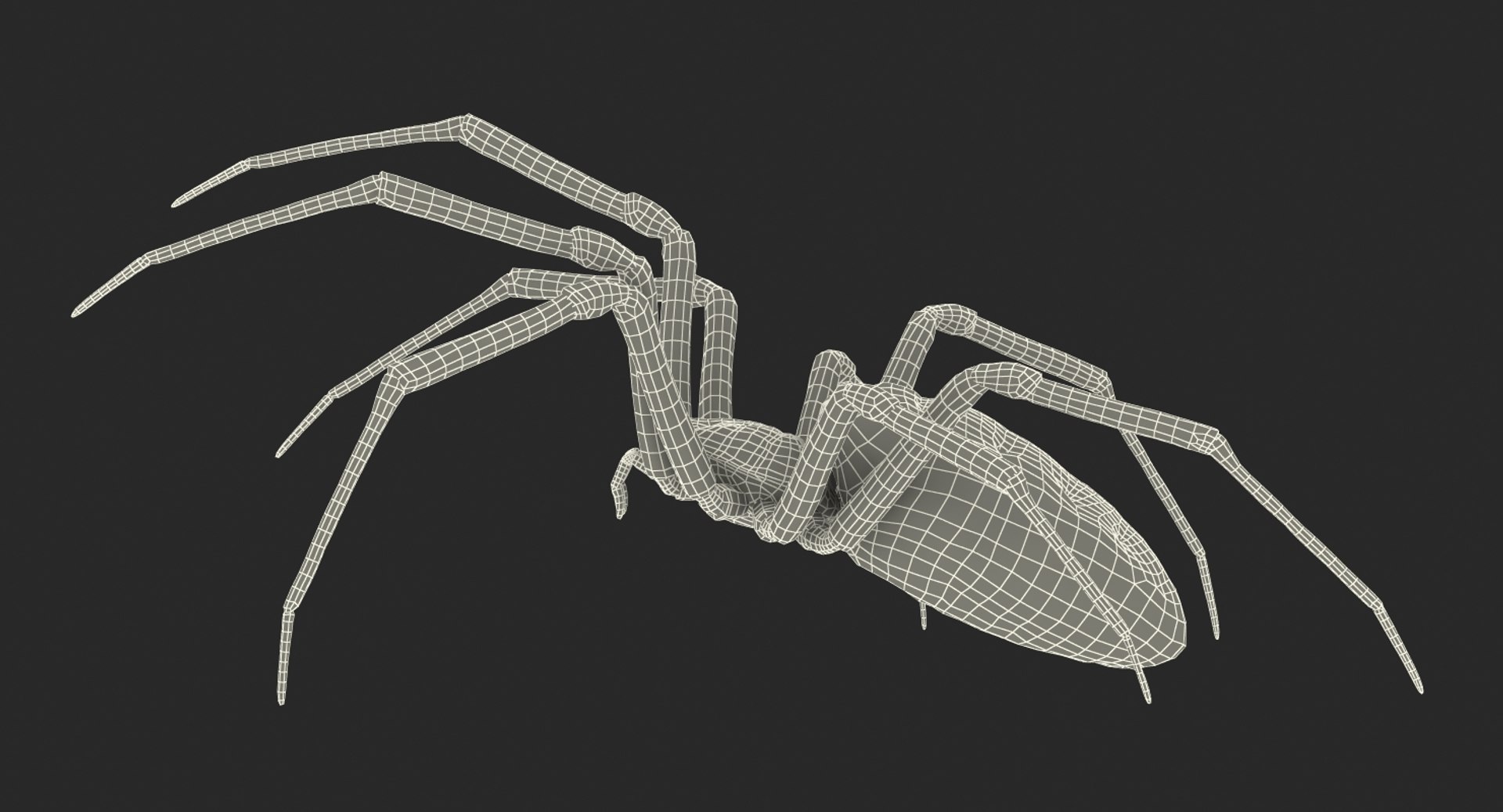 Writing spider 3D - TurboSquid 1187127