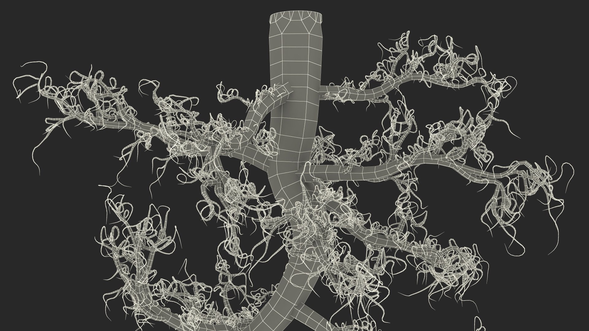 Plant Roots 3D Model - TurboSquid 2310779