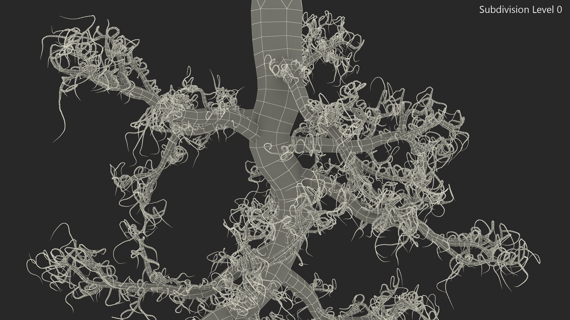 Plant Roots 3D Model - TurboSquid 2310779