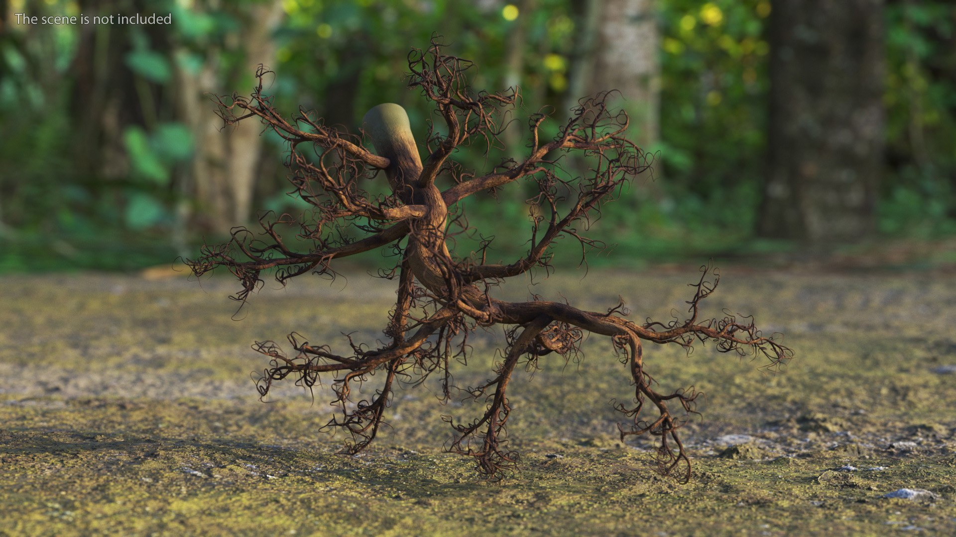 Plant Roots 3D Model - TurboSquid 2310779
