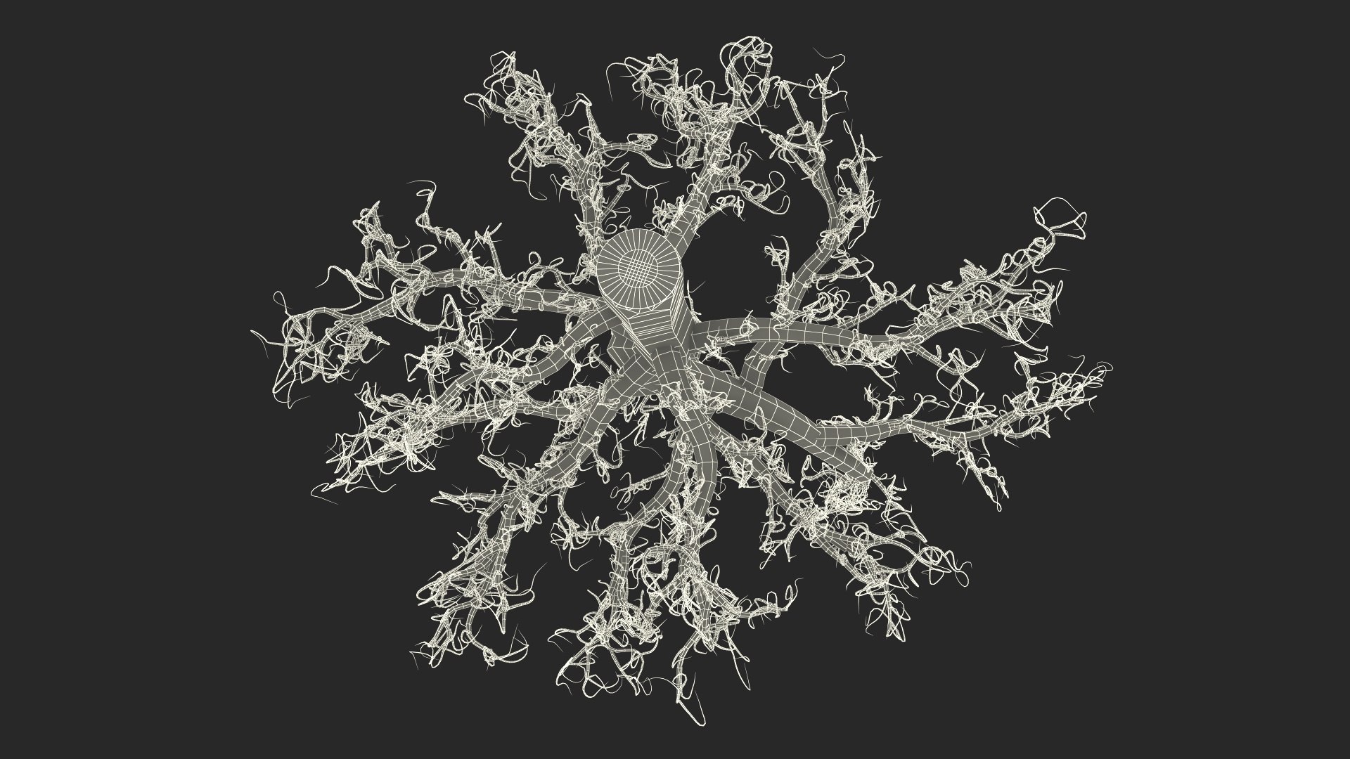Plant Roots 3D Model - TurboSquid 2310779