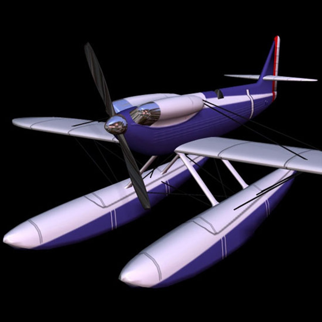 3d Model Of S6b Plane Pzs6b