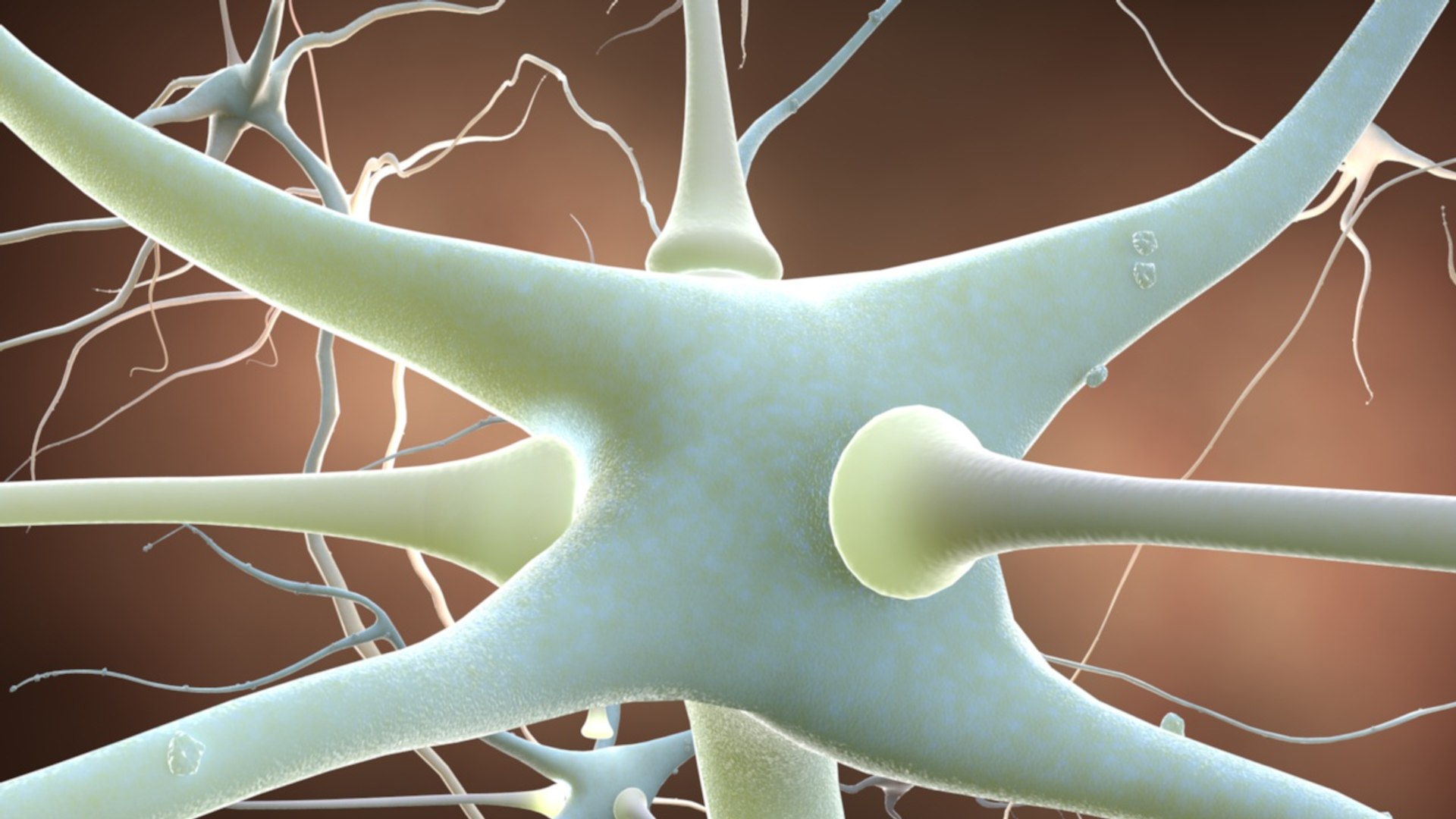 3D Nerves Receptors Model - TurboSquid 1187901