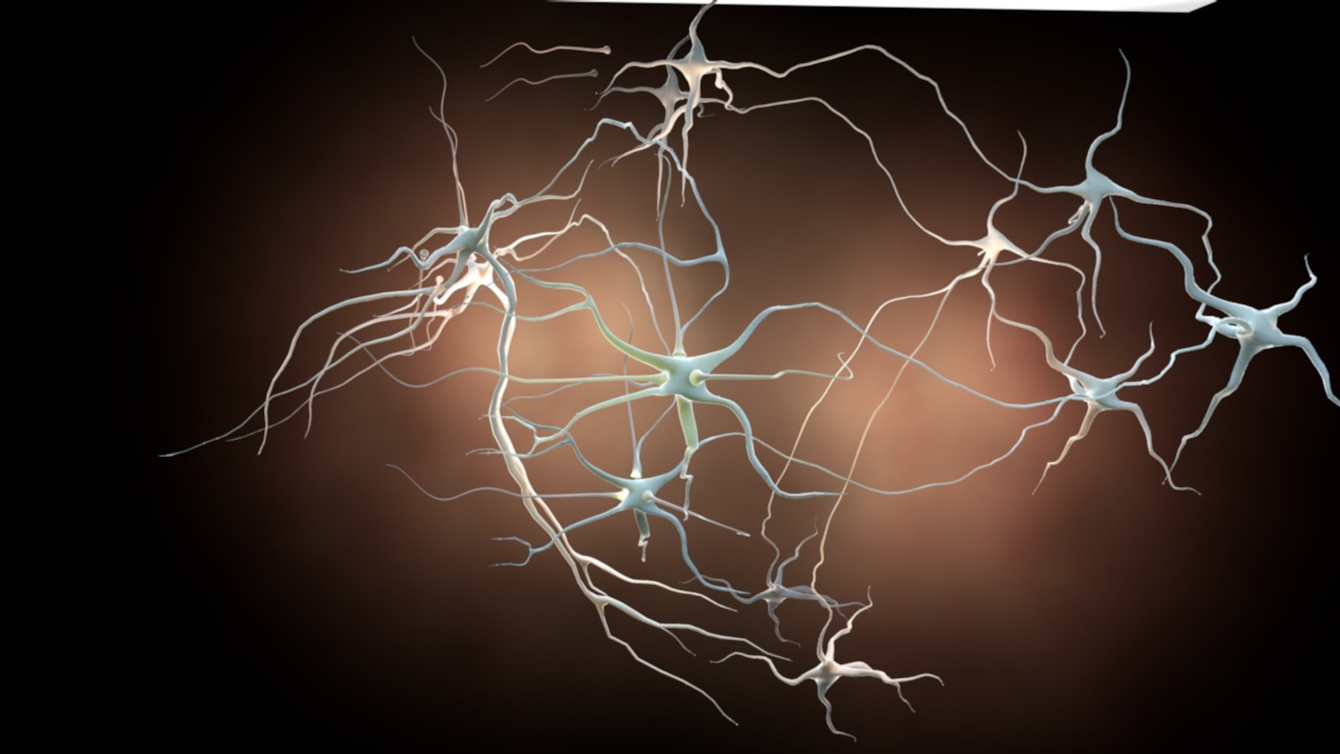 3D Nerves Receptors Model - TurboSquid 1187901