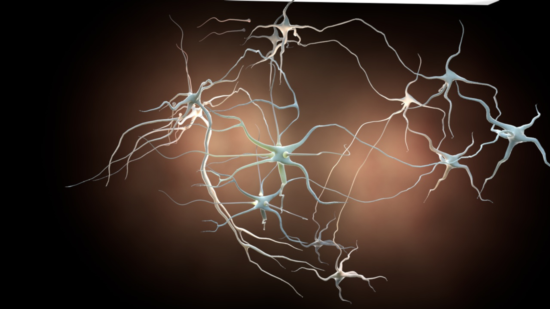 3D nerves receptors model - TurboSquid 1187901