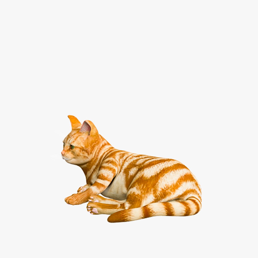 Cat Max