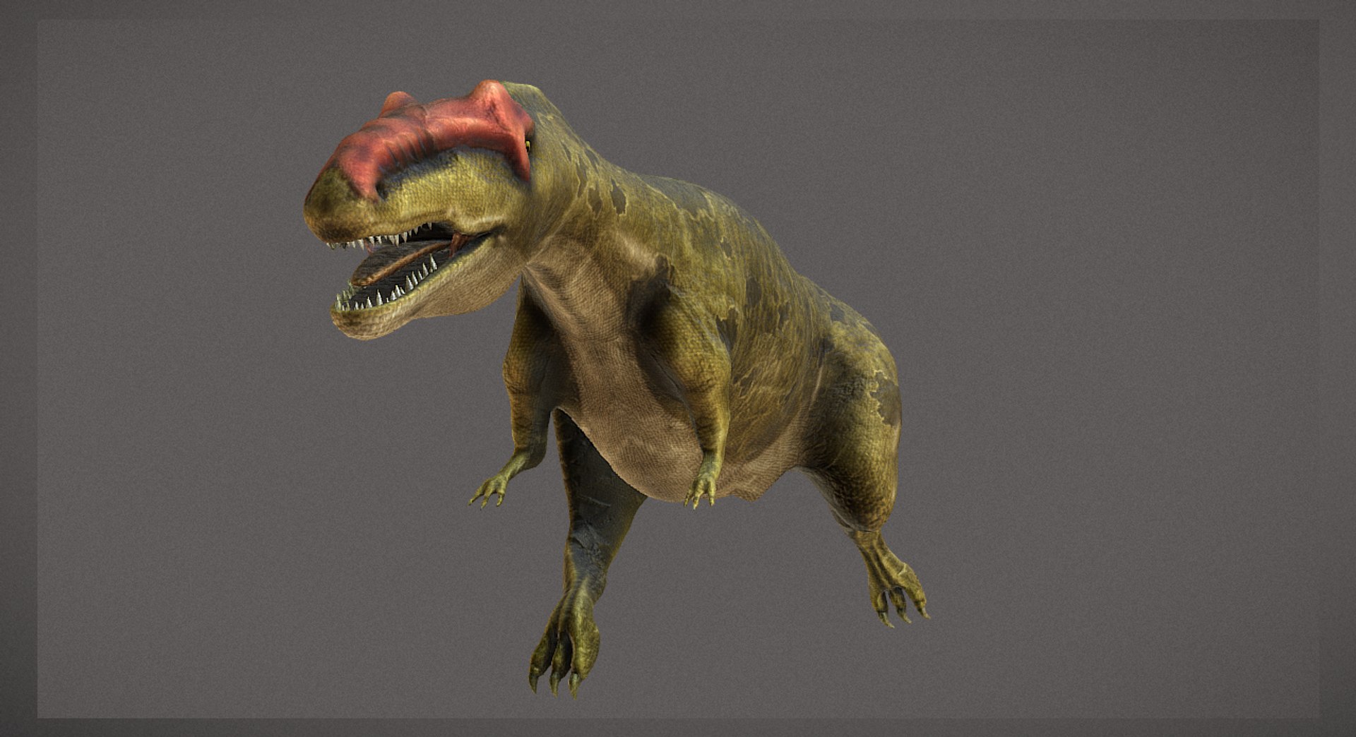 3D Model Allozaur Animations - TurboSquid 1284762