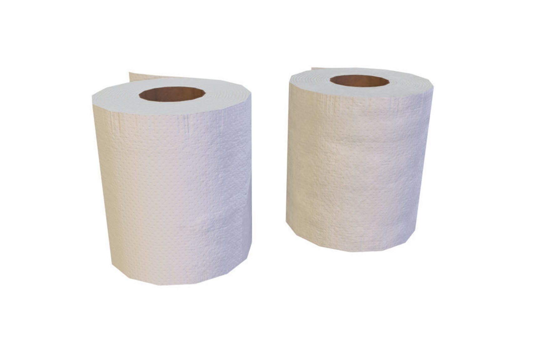 3D tissue model - TurboSquid 1623421