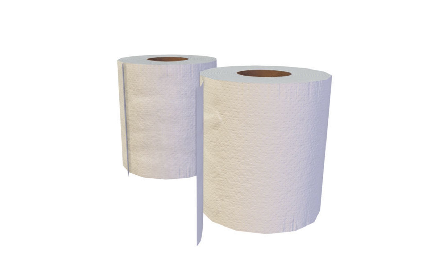 3D tissue model - TurboSquid 1623421