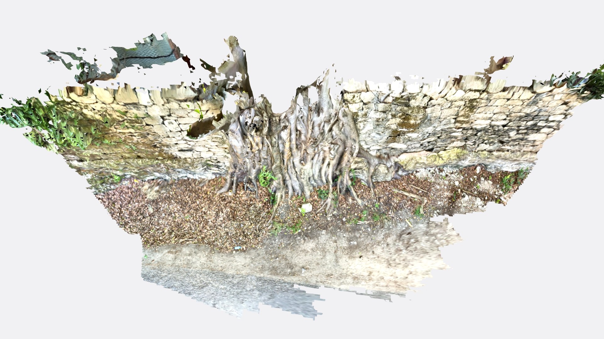 Wall Tree 3D - TurboSquid 1967989