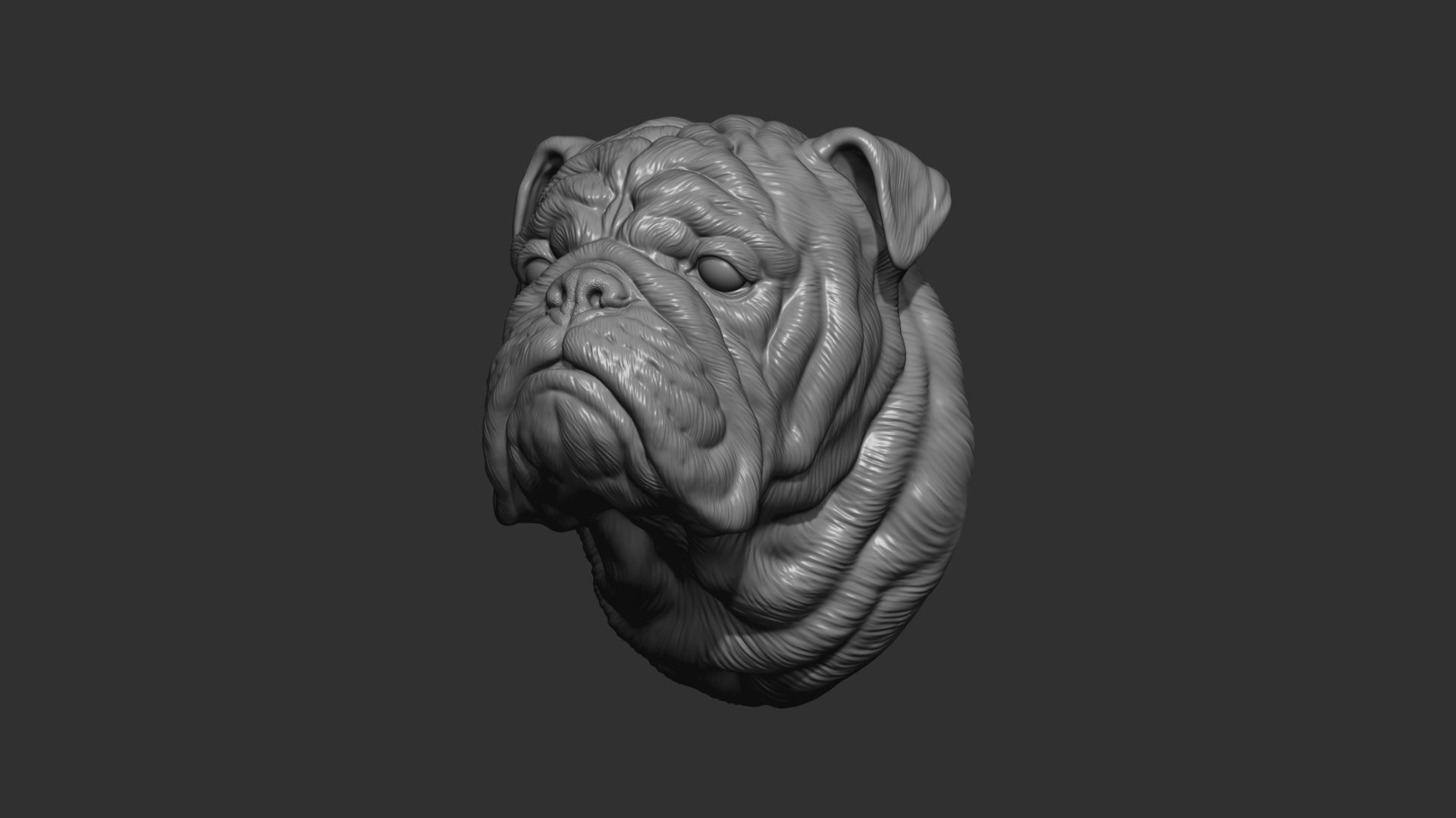 3D Model English Bulldog Bust - TurboSquid 2134817