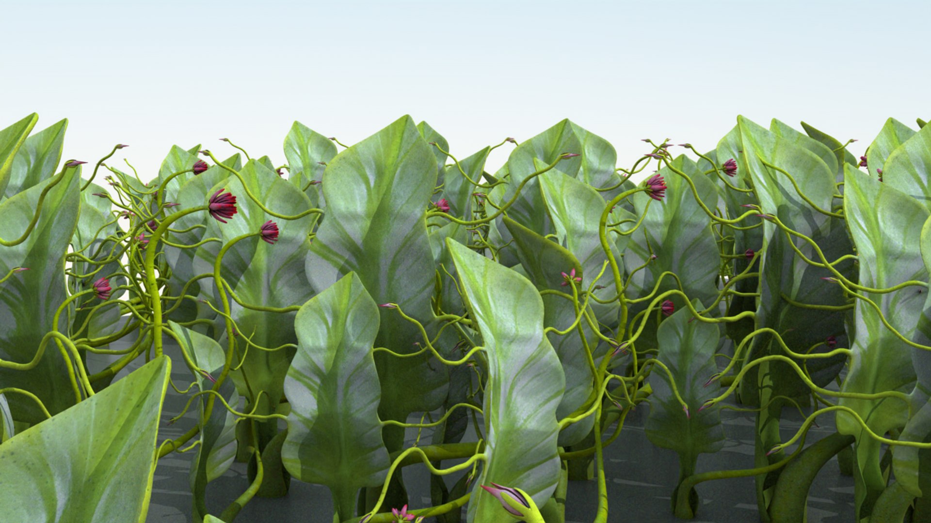 Small plant 3D model - TurboSquid 1619007