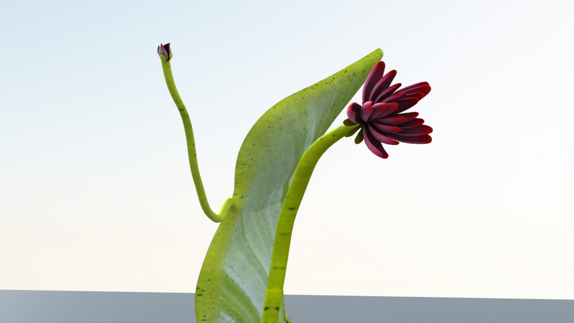 Small plant 3D model - TurboSquid 1619007