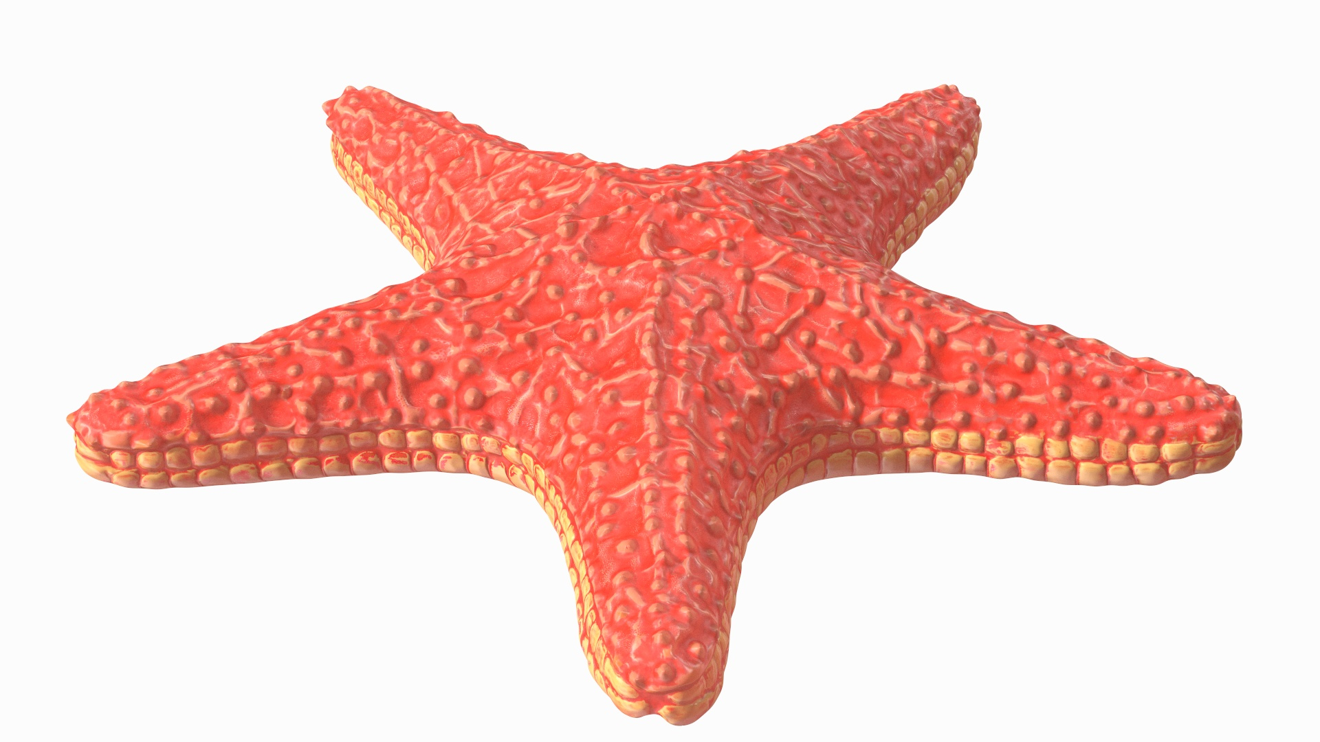 3D Starfish Red Fur - TurboSquid 2106260