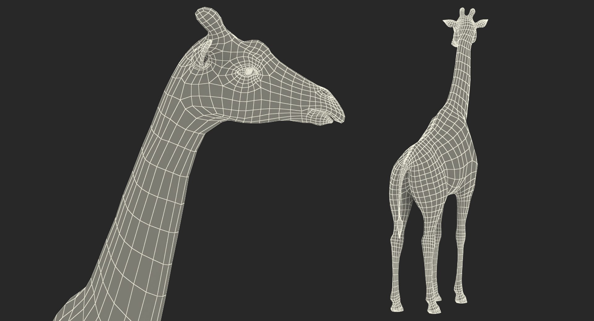 African giraffe standing pose 3D - TurboSquid 1401212