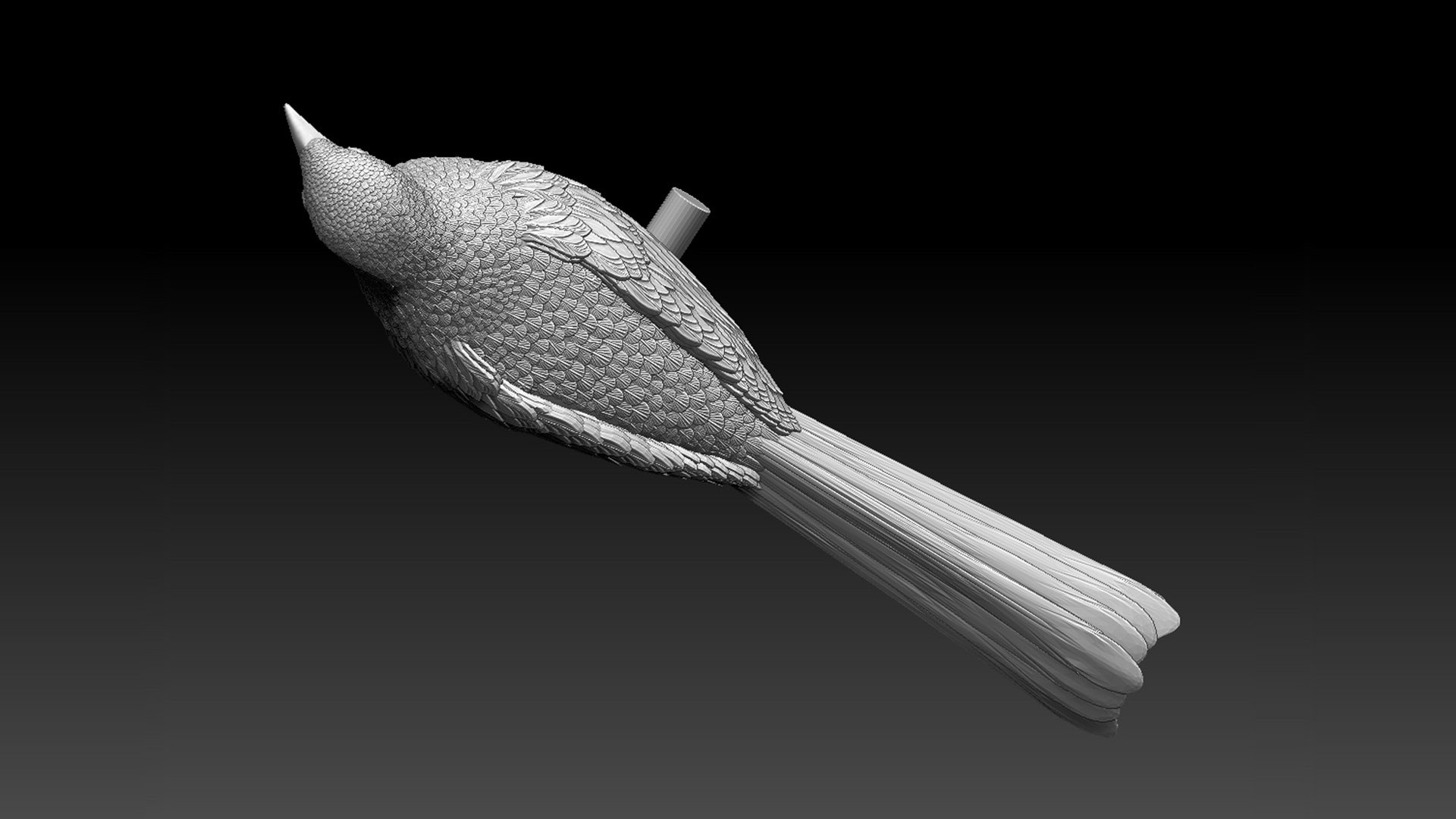 3D Magpie - TurboSquid 1765542