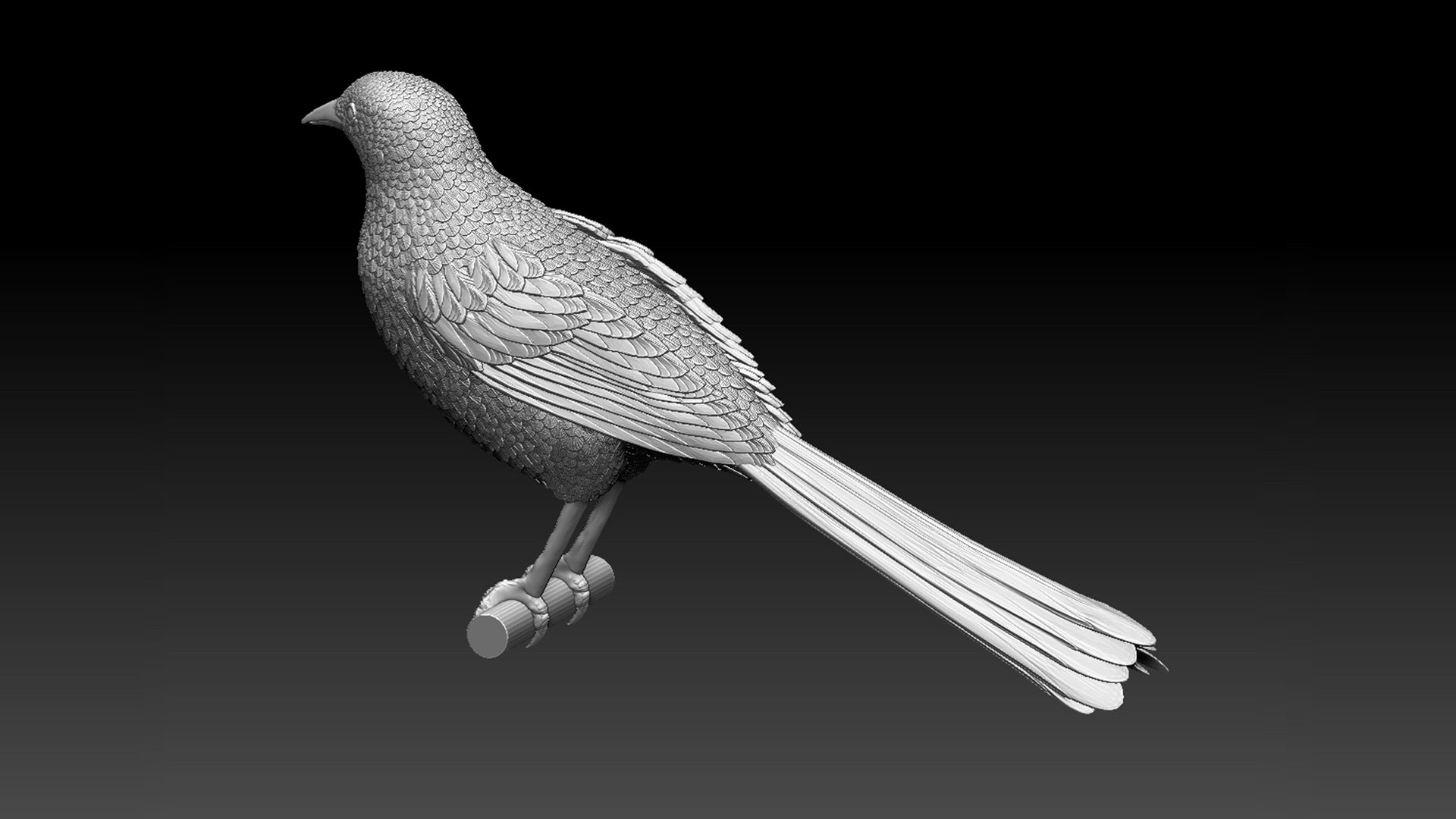 3D Magpie - TurboSquid 1765542