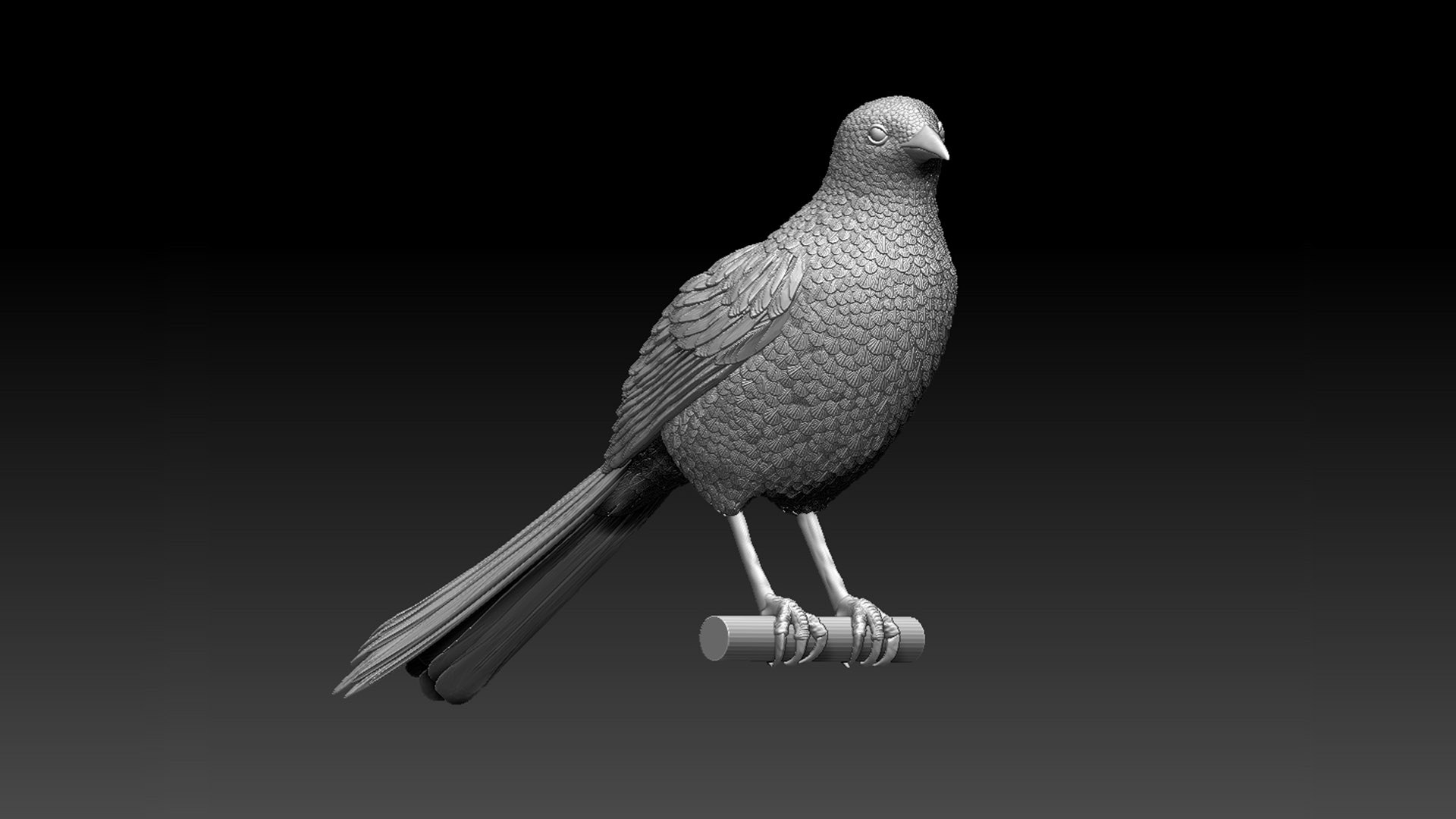 3D Magpie - TurboSquid 1765542