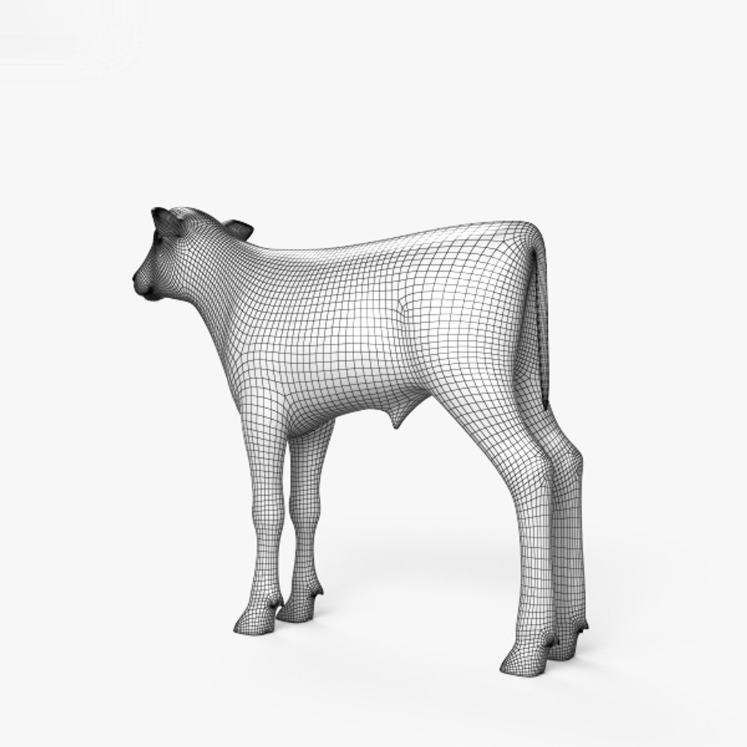 Calf Cow Cattle 3D Model - TurboSquid 1496243