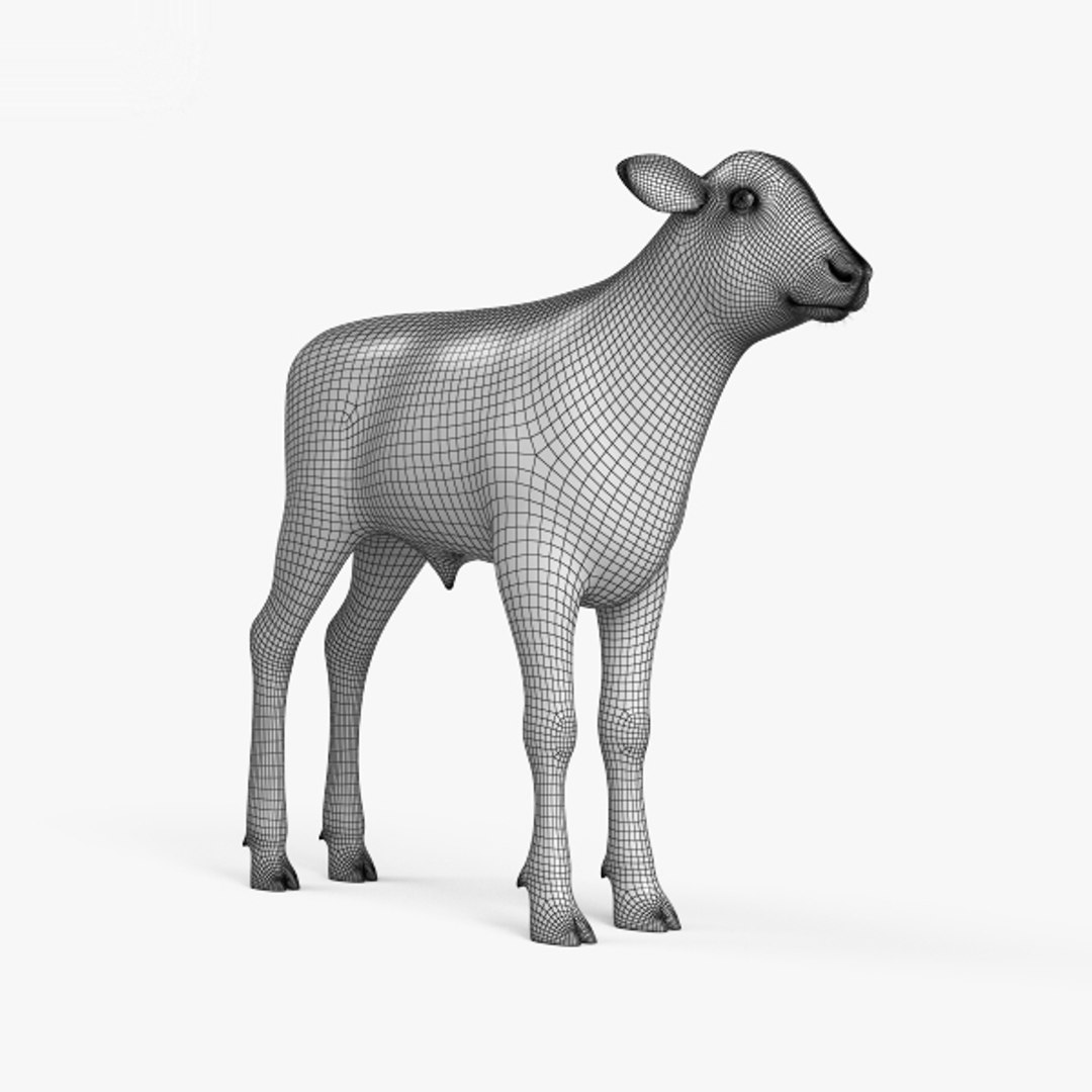 Calf Cow Cattle 3D Model - TurboSquid 1496243