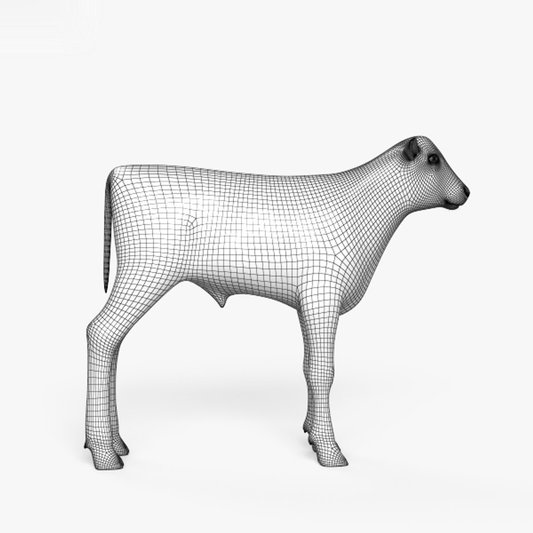 Calf Cow Cattle 3D Model - TurboSquid 1496243
