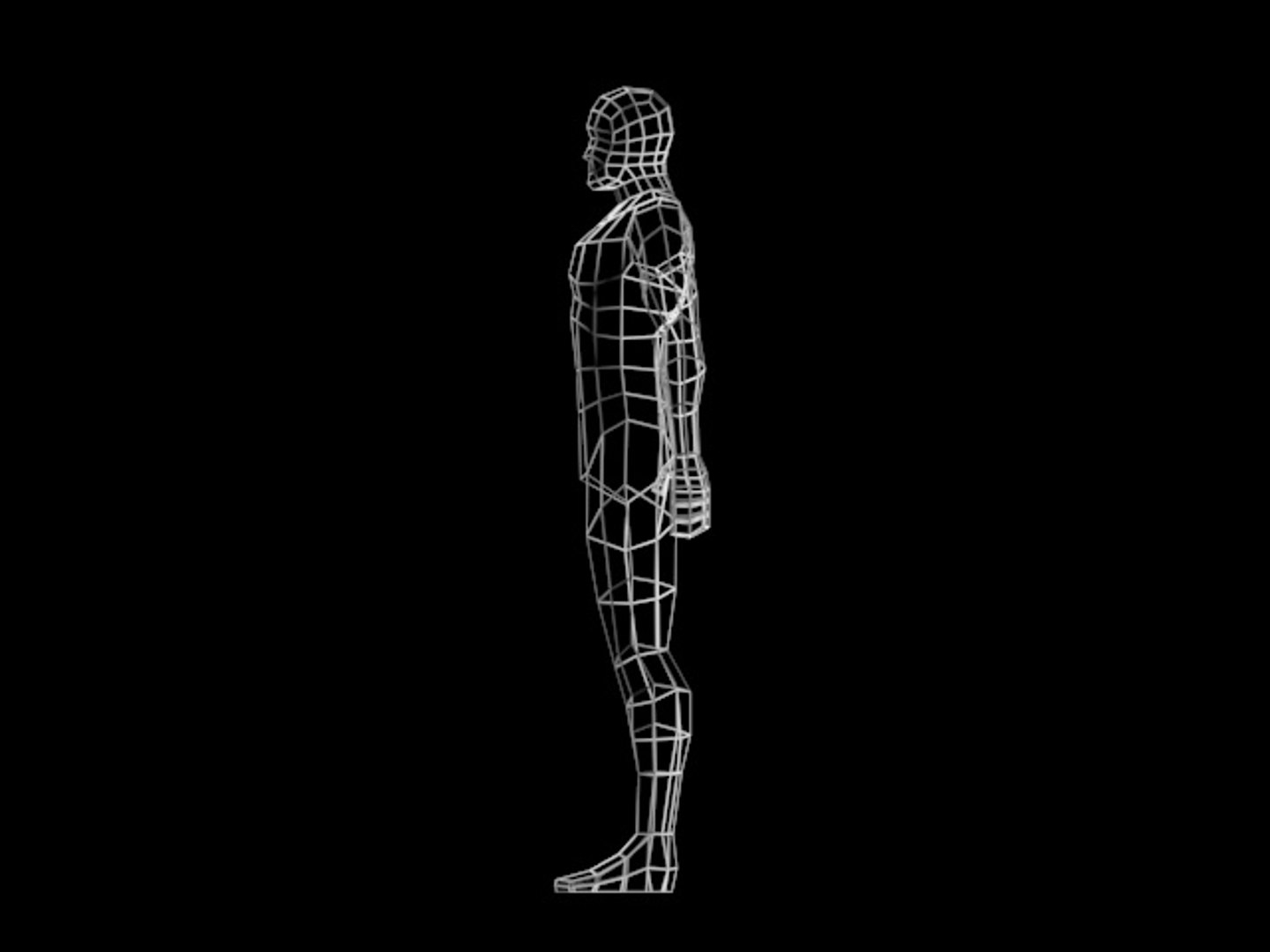 3d Model Of Male Mesh