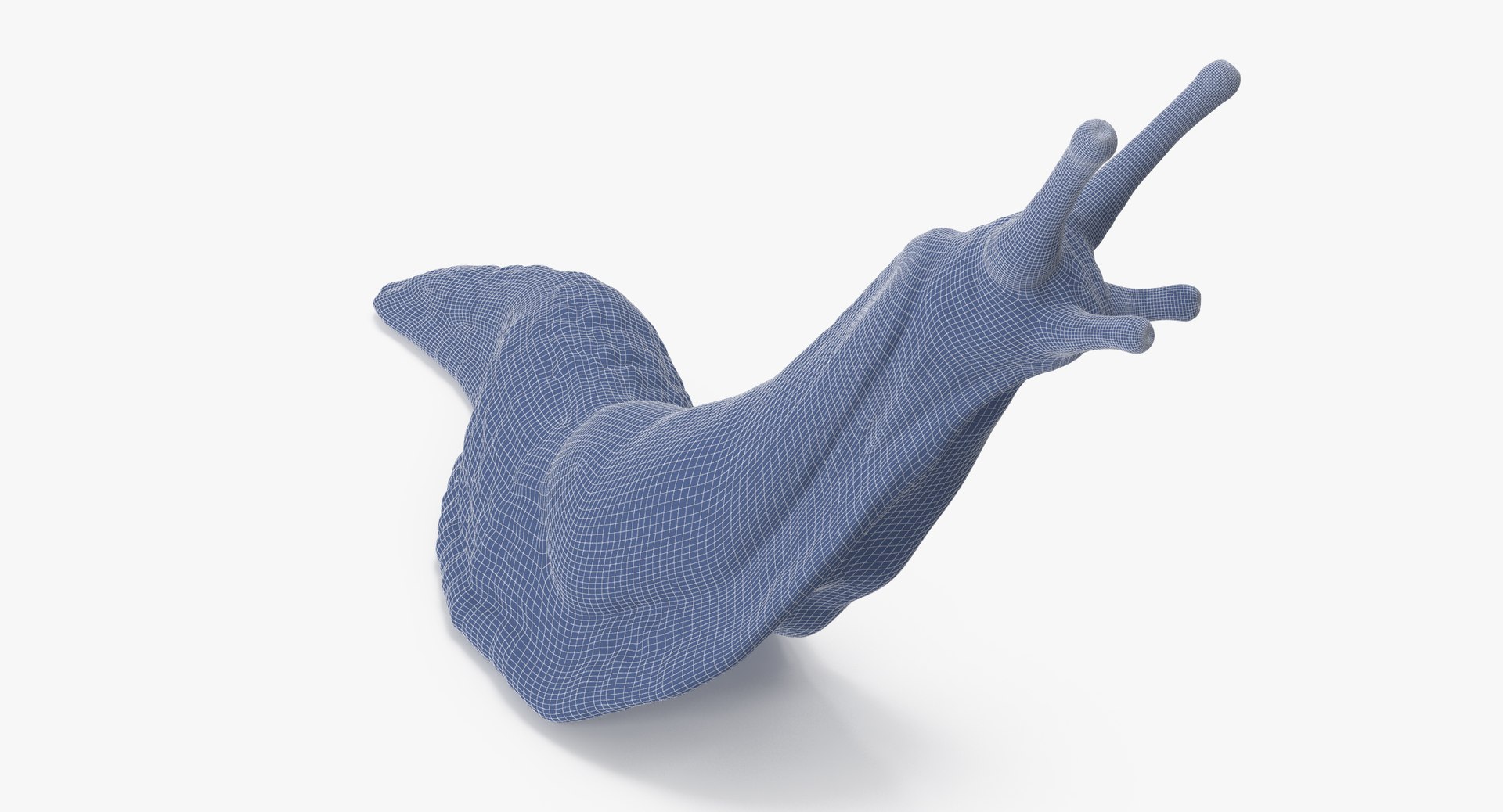 Slug 03 3d Model