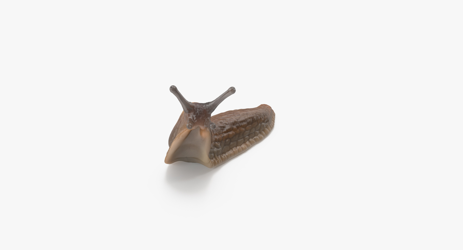 slug 03 3d model