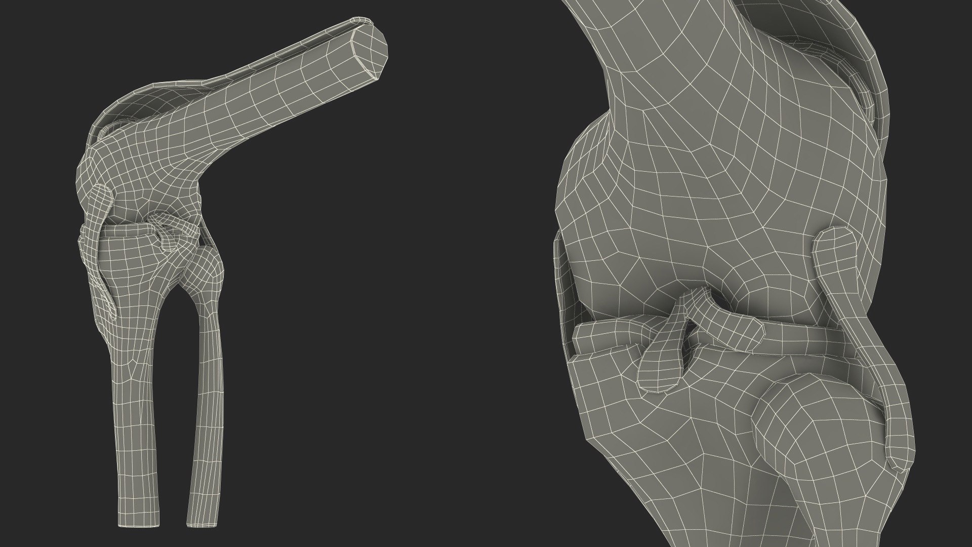 3D Knee Joint Model Bent State Model - TurboSquid 2248580