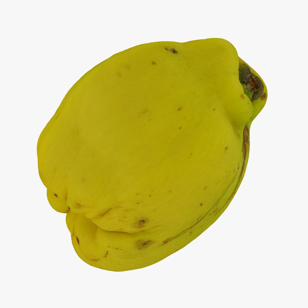 3D quince 05 raw scan - TurboSquid 1542840