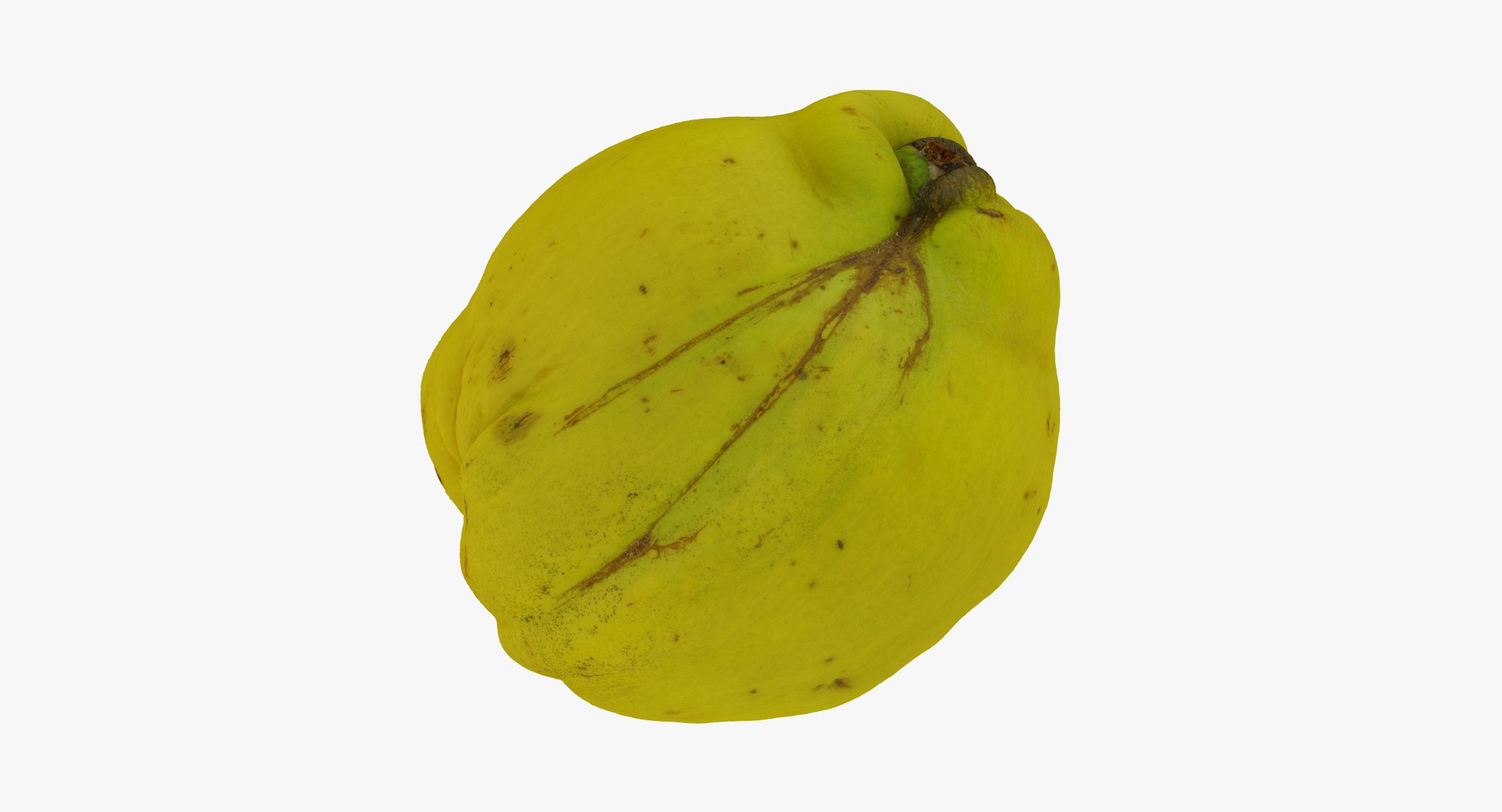 3D quince 05 raw scan - TurboSquid 1542840