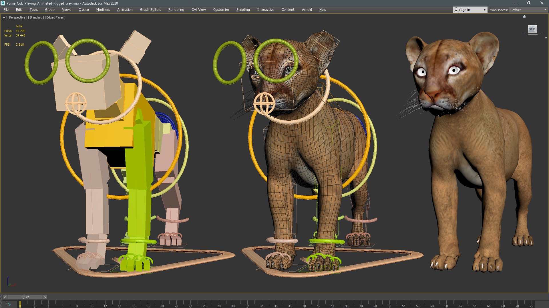 3D Puma Cub Playing Animated Rigged - TurboSquid 2407533