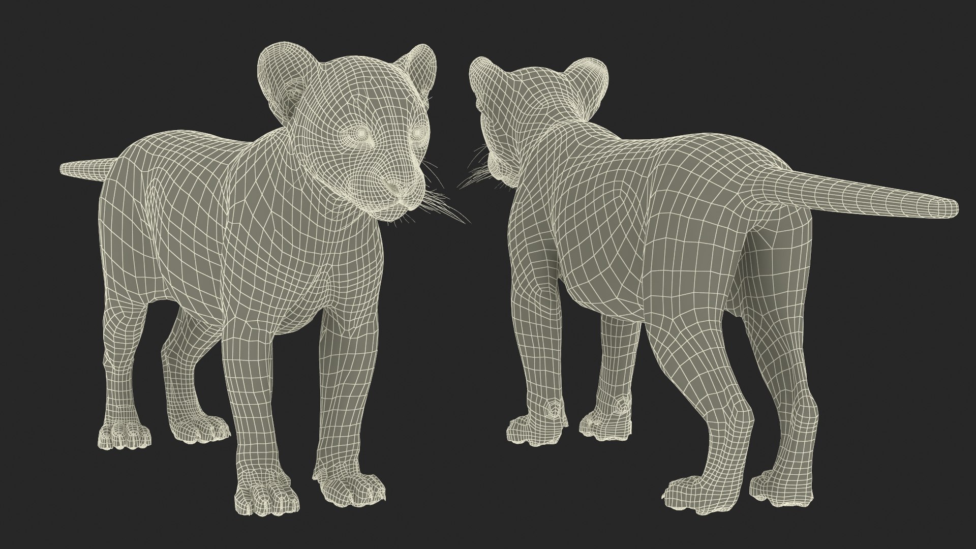 3D Puma Cub Playing Animated Rigged - TurboSquid 2407533