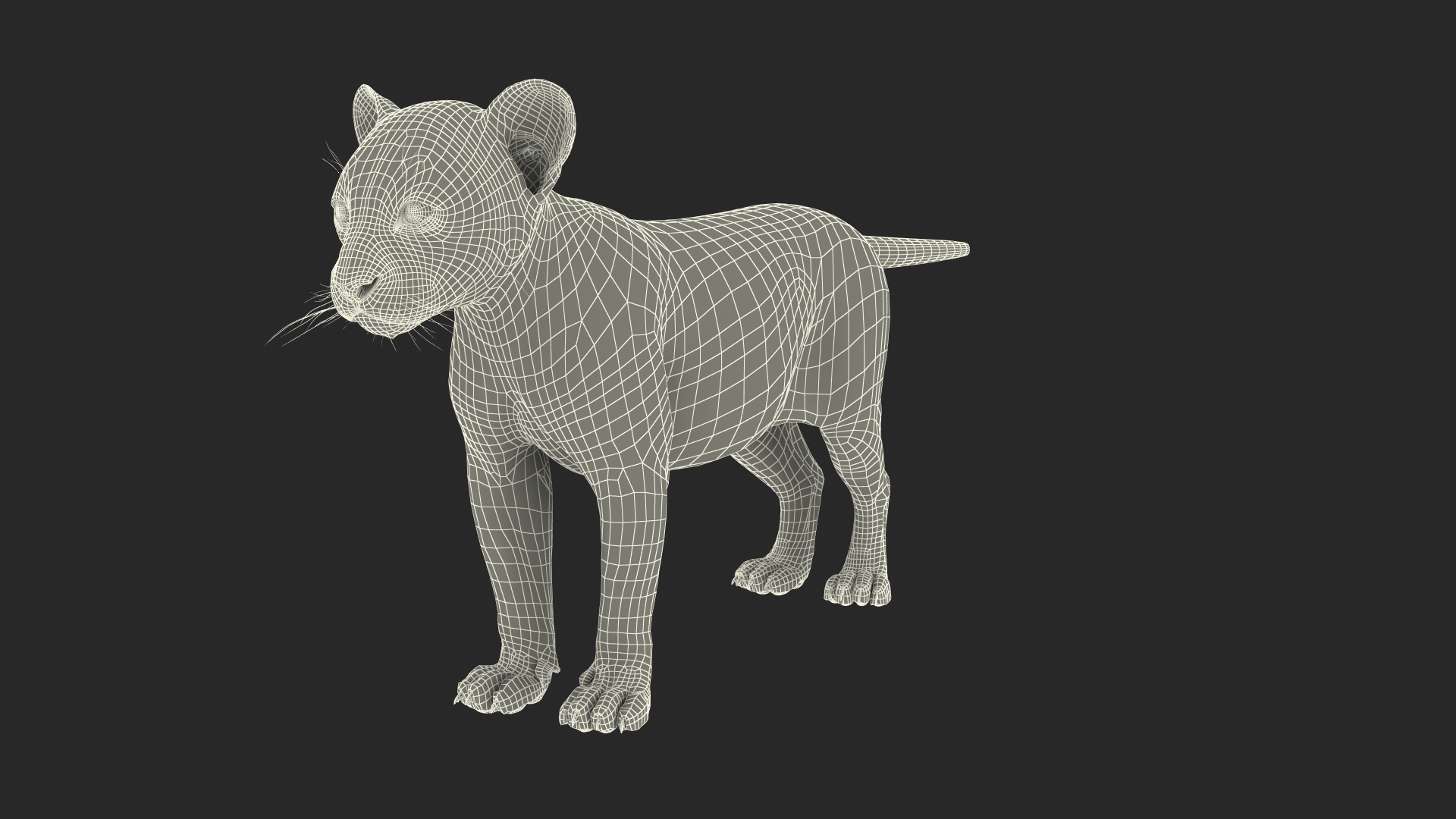 3D Puma Cub Playing Animated Rigged - TurboSquid 2407533
