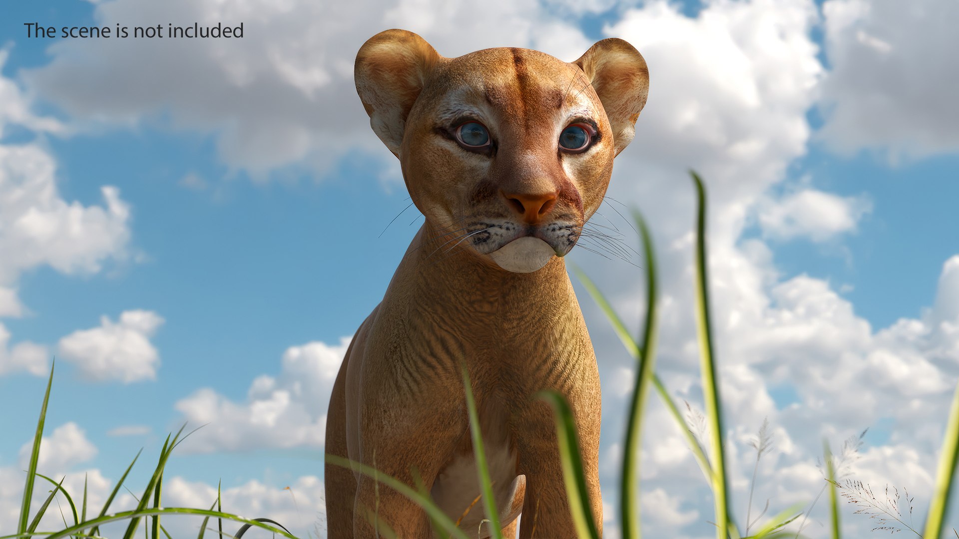 3D Puma Cub Playing Animated Rigged - TurboSquid 2407533