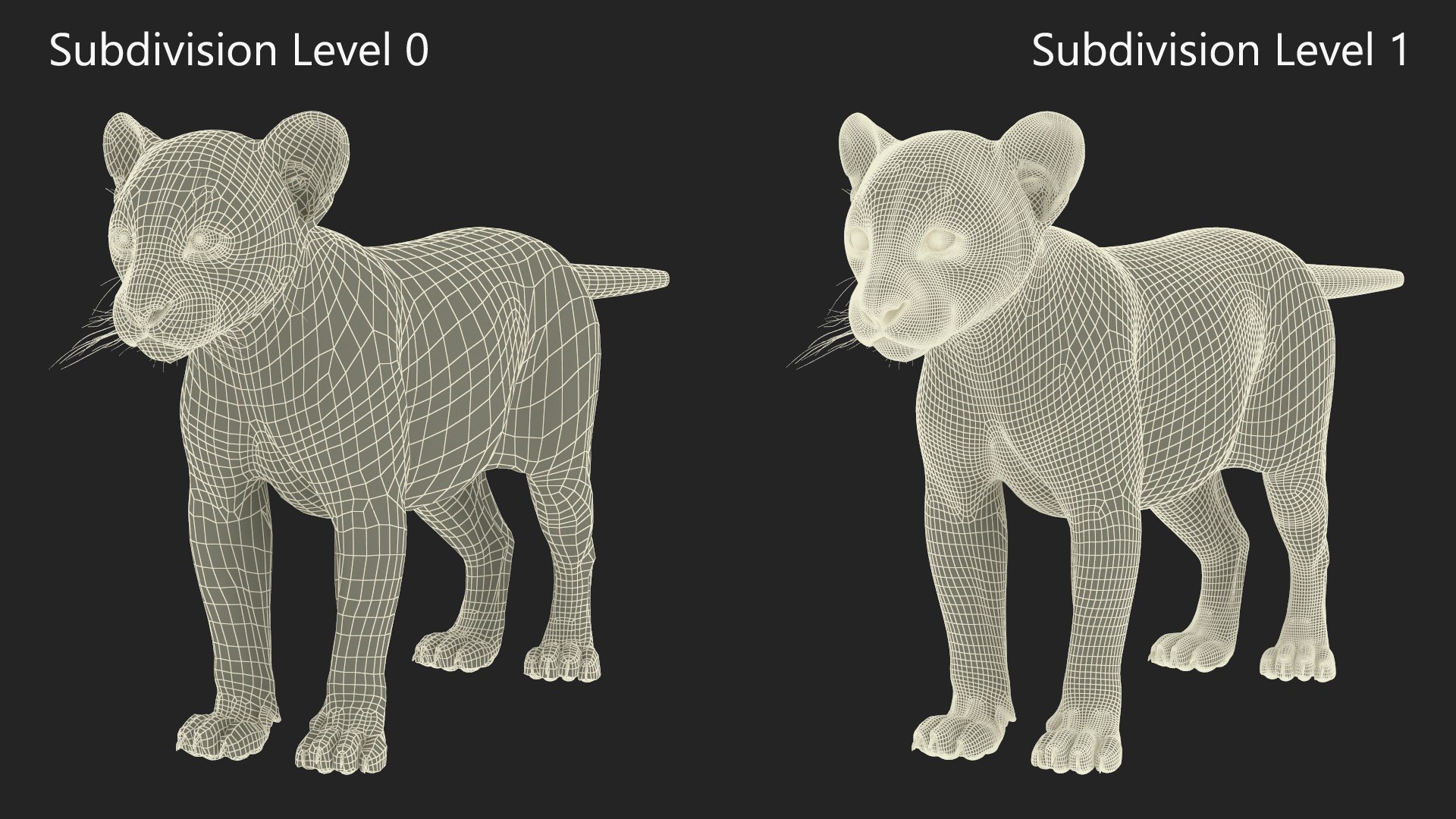 3D Puma Cub Playing Animated Rigged - TurboSquid 2407533