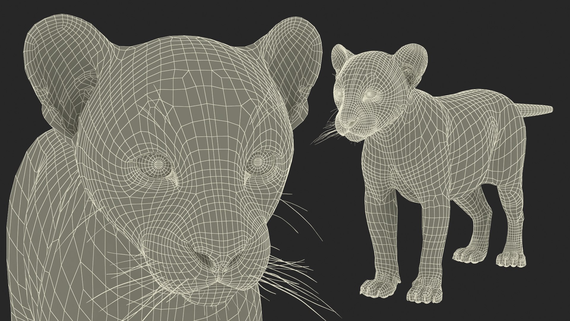 3D Puma Cub Playing Animated Rigged - TurboSquid 2407533