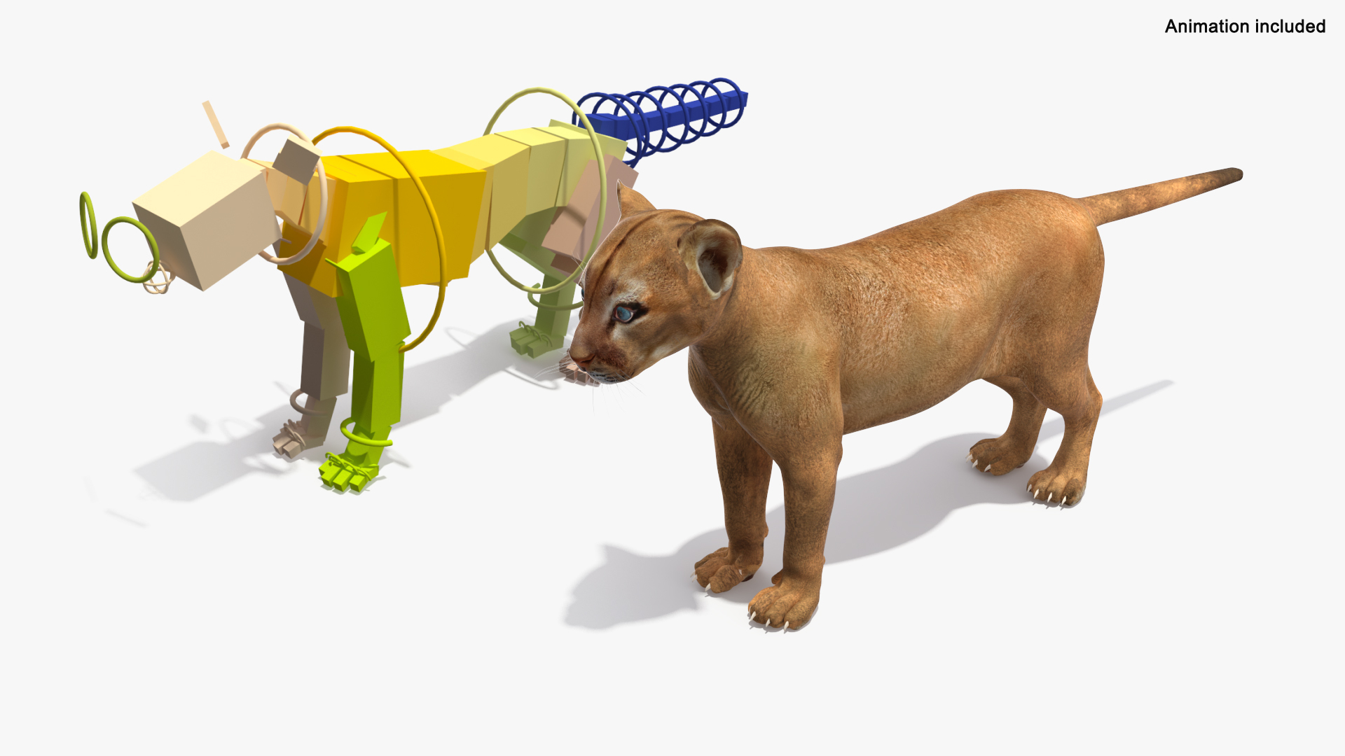3D Puma Cub Playing Animated Rigged - TurboSquid 2407533