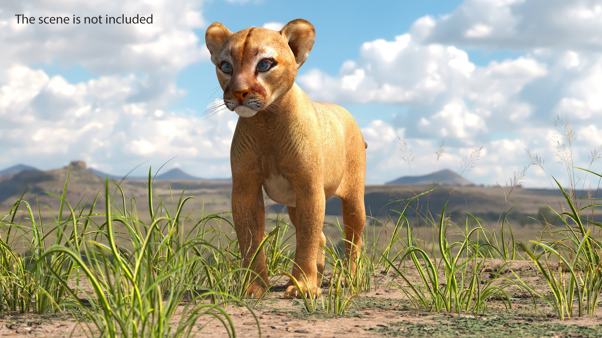 3D Puma Cub Playing Animated Rigged - TurboSquid 2407533