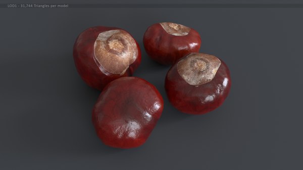 Photogrammetry horse chestnuts 3D model - TurboSquid 1703951