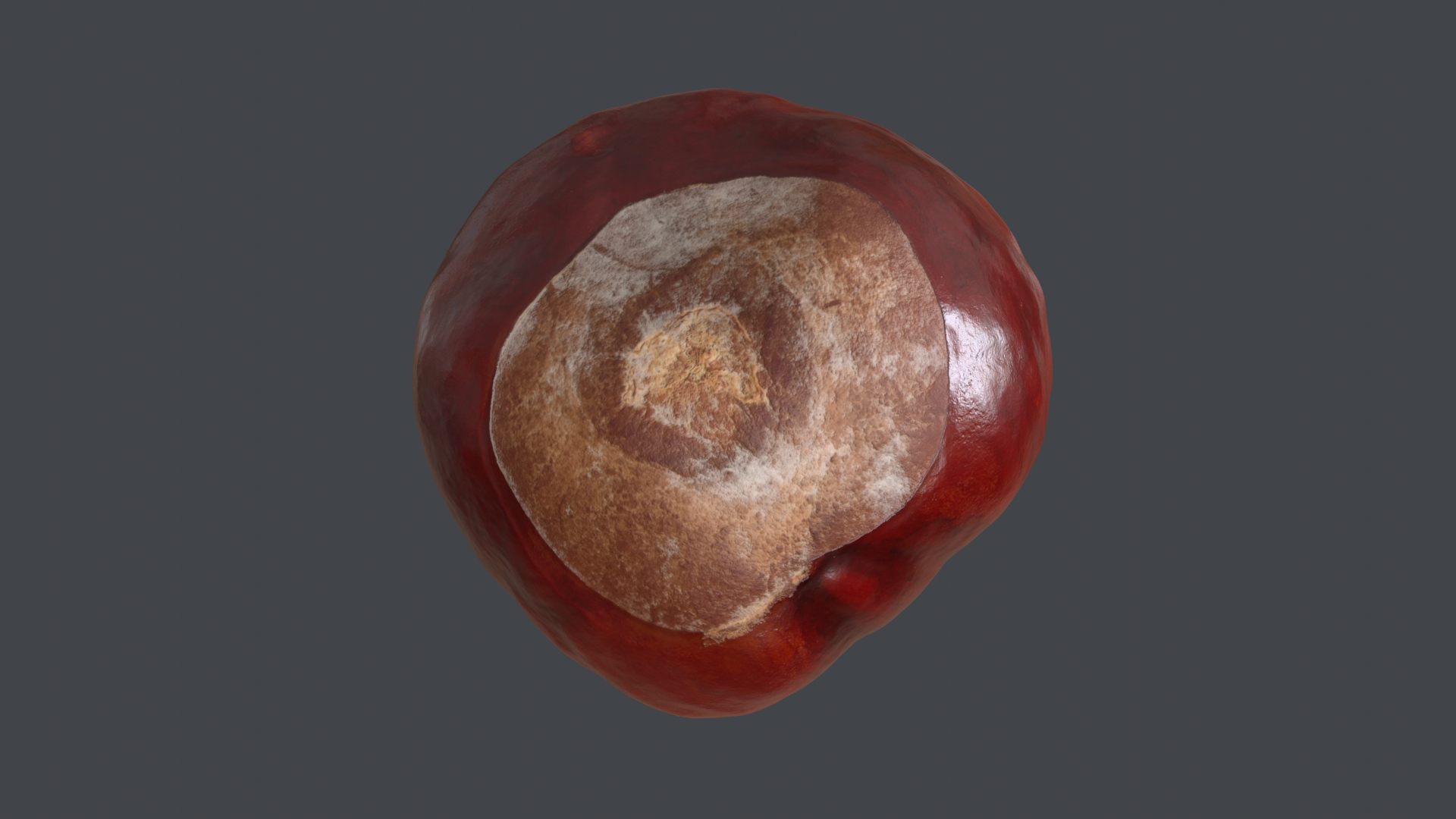 Photogrammetry Horse Chestnuts 3D Model - TurboSquid 1703951