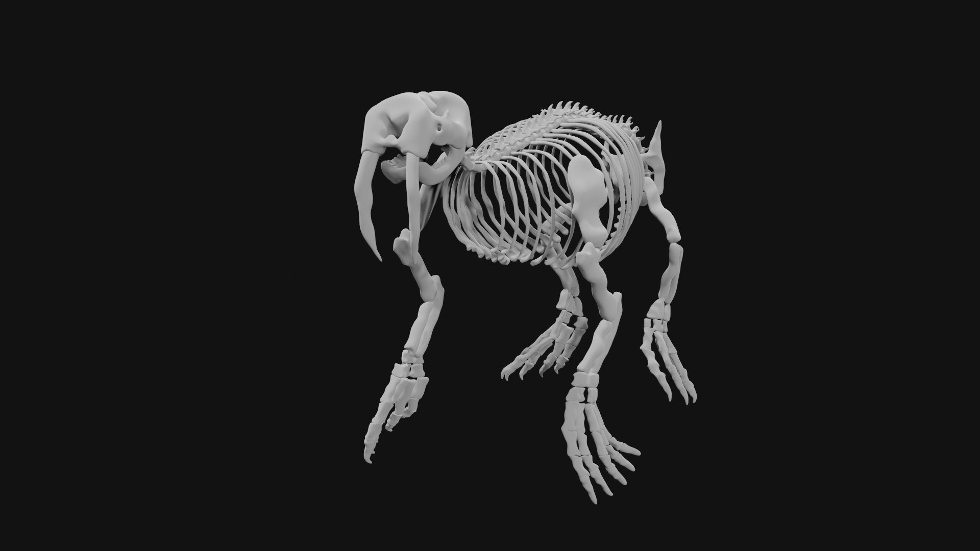 Walrus Skeleton 3D Model - TurboSquid 1969532