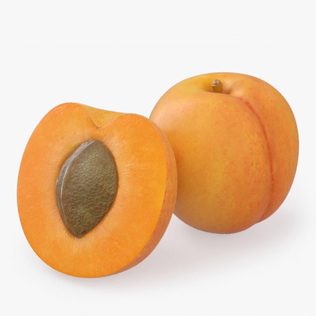 Apricot Fruit Model - TurboSquid 1272788