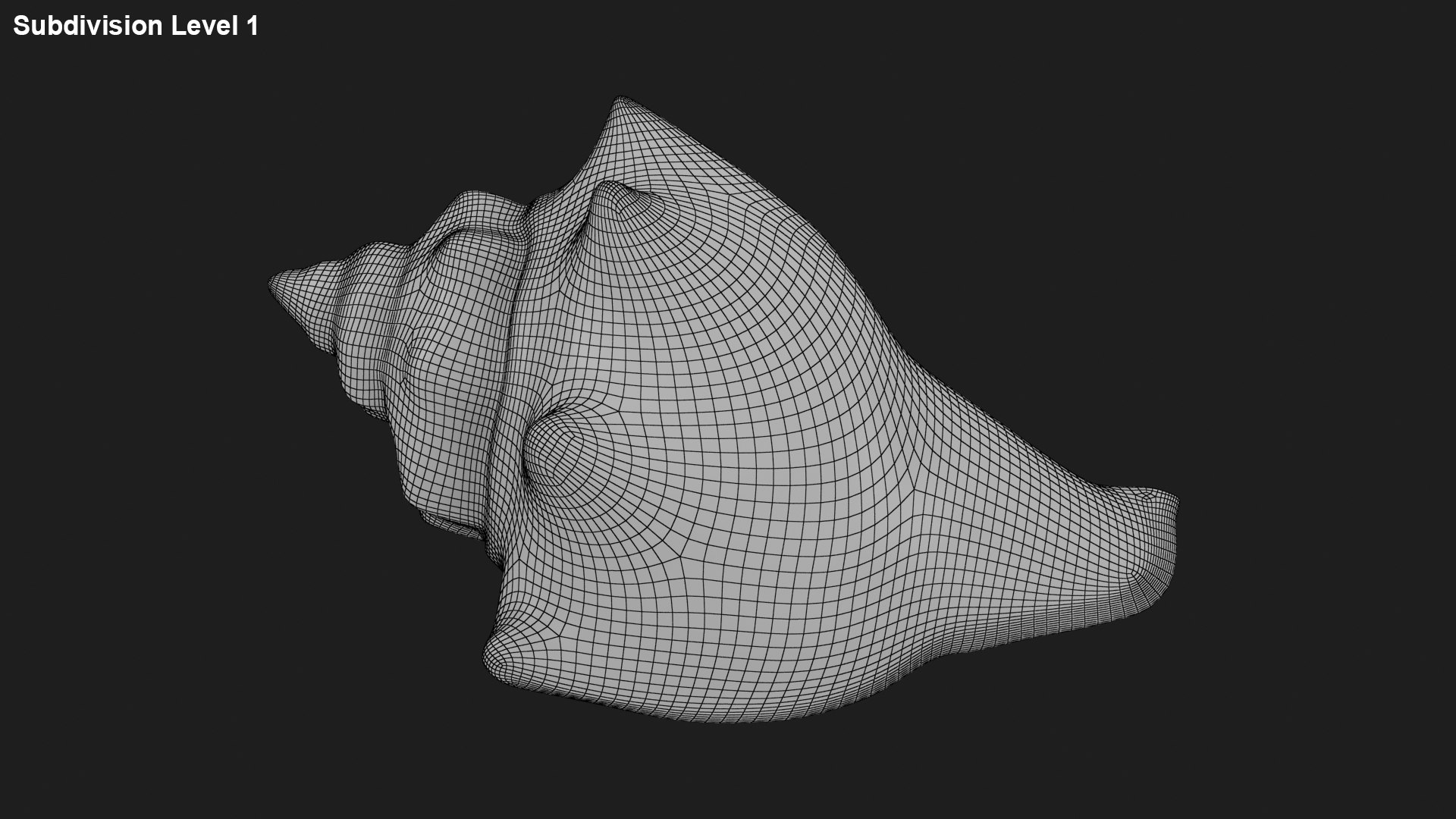 Sea shell seashell 3D model - TurboSquid 1701035
