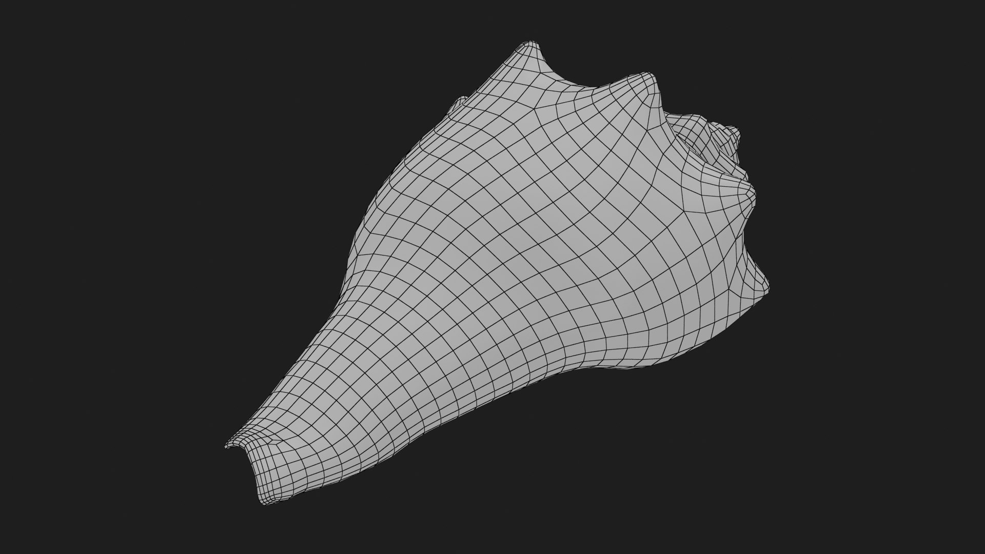 Sea shell seashell 3D model - TurboSquid 1701035