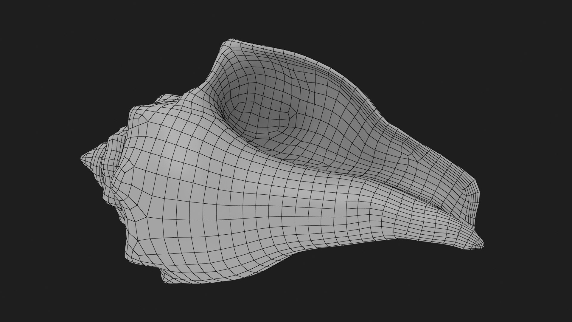 Sea shell seashell 3D model - TurboSquid 1701035