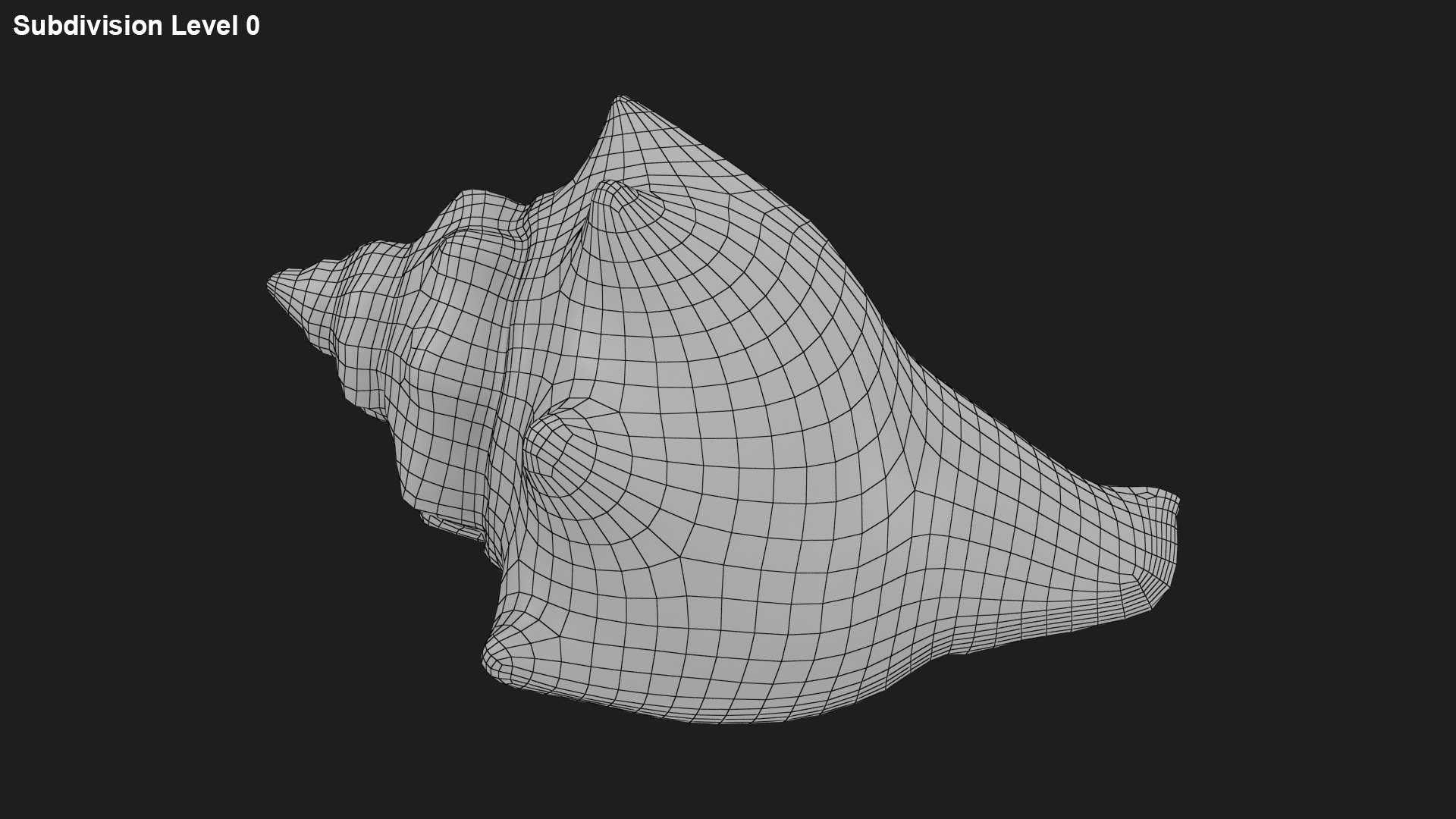 Sea shell seashell 3D model - TurboSquid 1701035